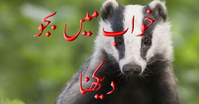 khwab ki tabeer in english: Khawab Main Bijju Dekhna