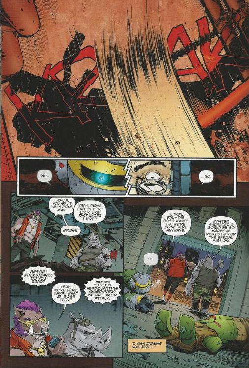 TMNT Entity: TMNT (IDW) #44