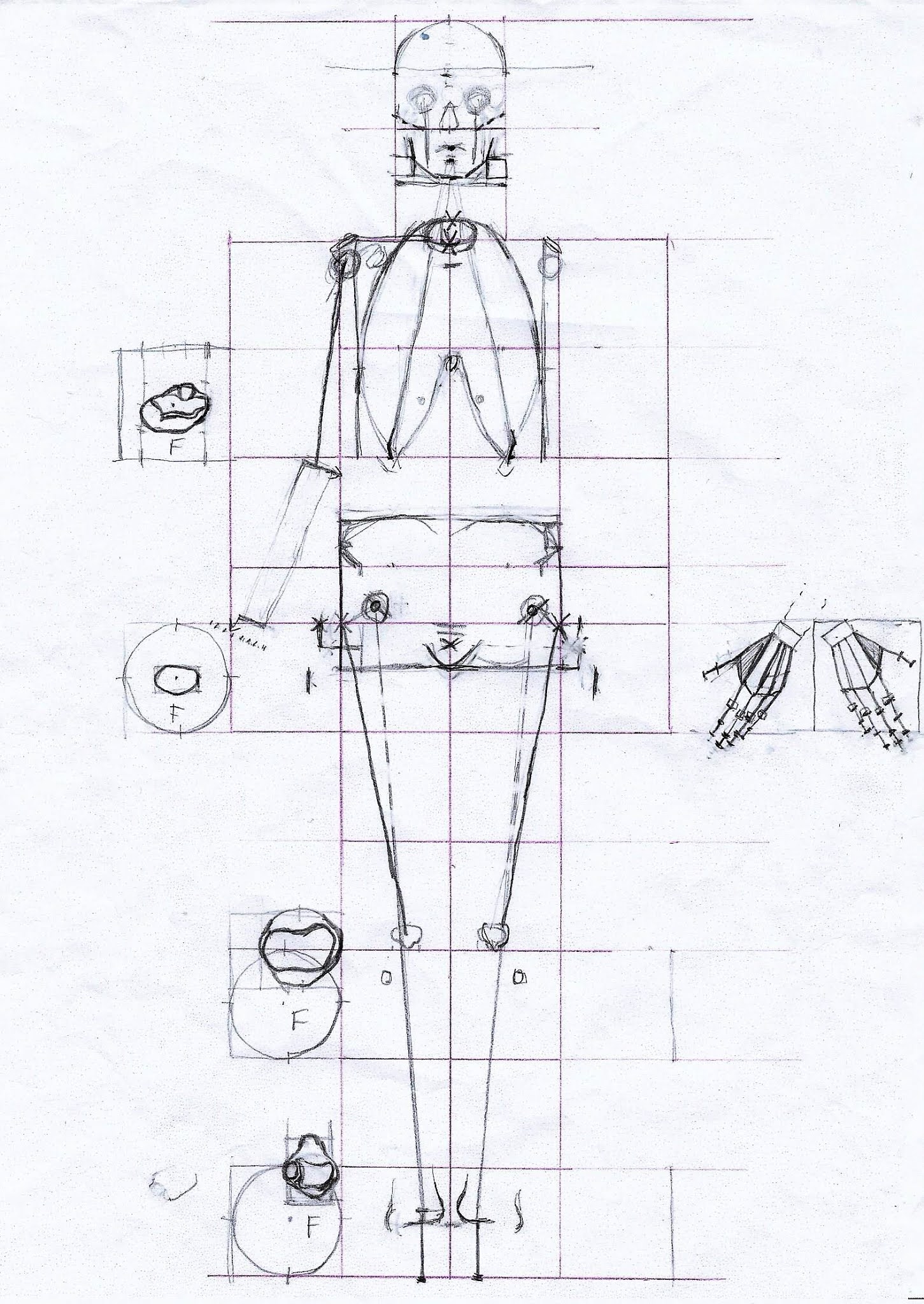Artistic Anatomy Glasgow: Grid Gym: advanced female surface anatomy ...