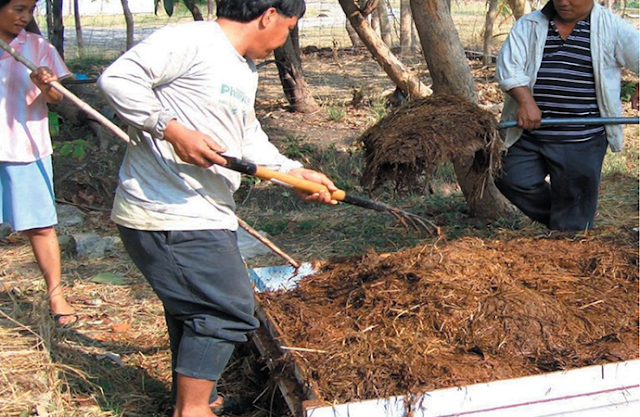 Technonology Guide for Rice Straw Composting with Urea