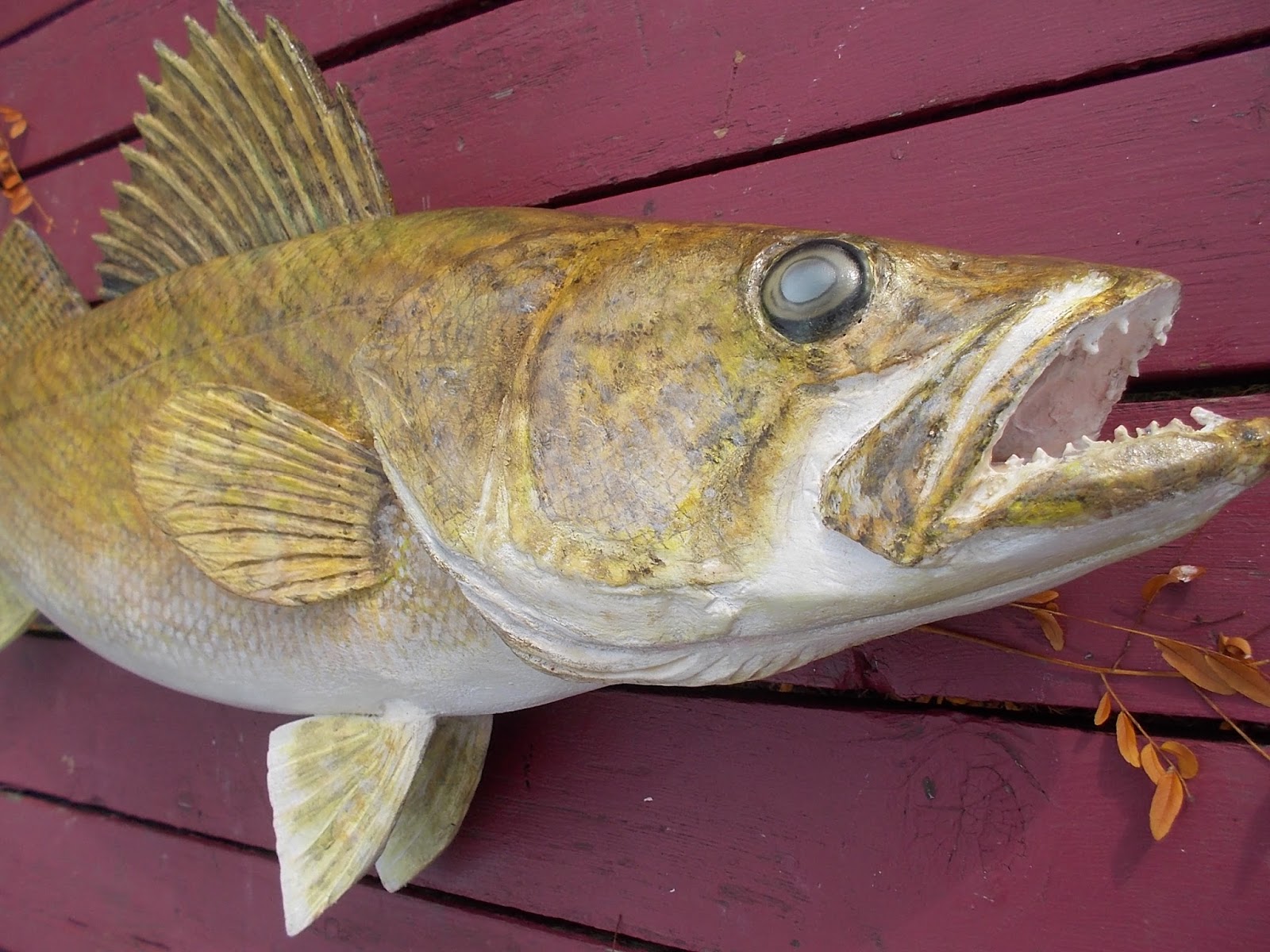 CHARLES WEISS ART: Wood Carving Giant Walleye (Yellow Pickerel)