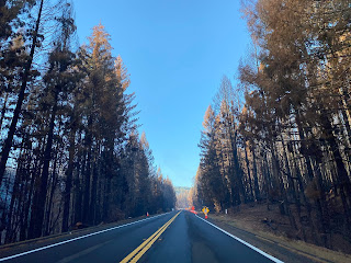 US Route 199; the Redwood Highway