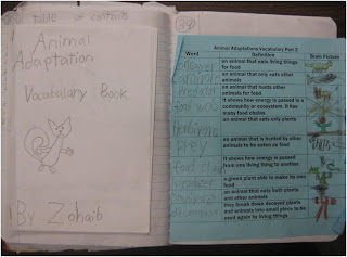 Sweet Teach: Science Notebooking: Animal Adaptations