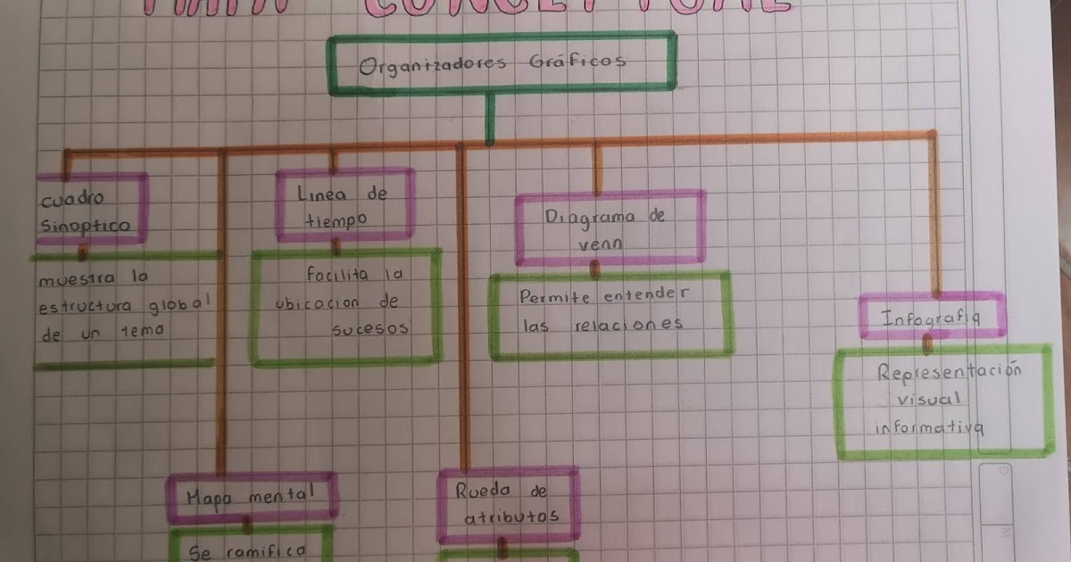 Valeria Forero Delgadillo: ORGANIZADOR GRÁFICO : mapa conceptual