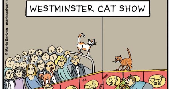 Mystery Fanfare: Cartoon of the Day: Westminster Cat Show