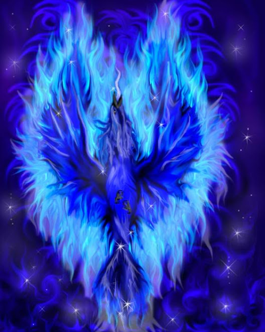 The Blue Phoenix: Six Years Strong