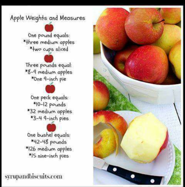 Cheryl's Frugal Corner: Info and Recipes - Misc.