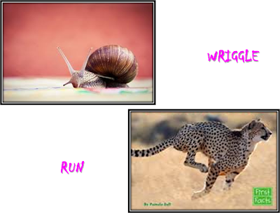 Learning of Animals: Movement Of Animals