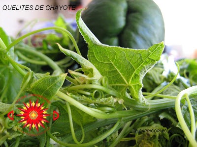 Cocina Costarricense: quelites y albóndigas