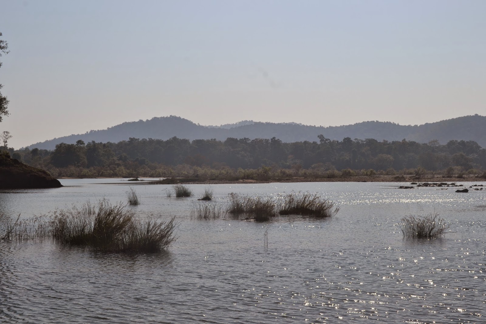 WWF-MSO: Glory of Allapalli, Hemalkasa - Gadchiroli