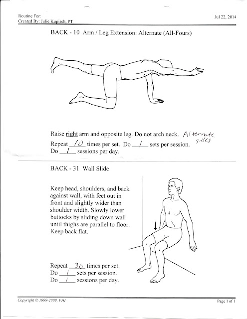 Brandi's Buzzar Blog: Back Exercises