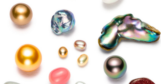The Complete Biology: How do pearls form?