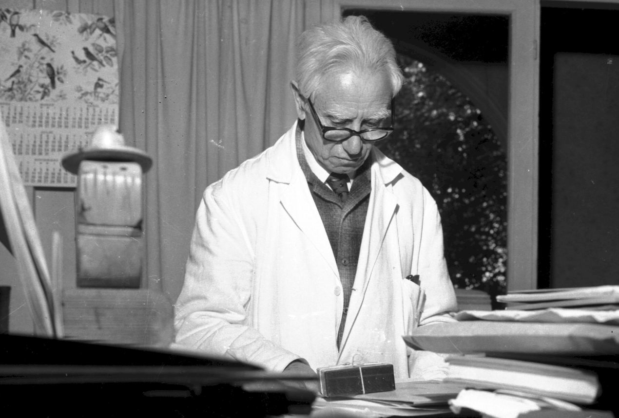 Clemente Estable: Historia