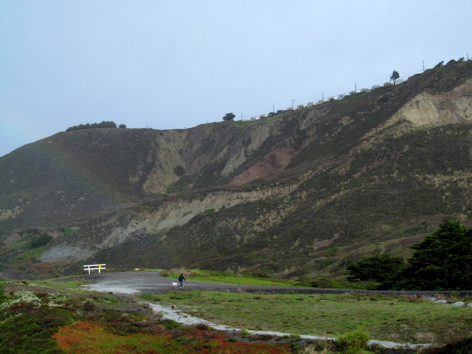 Gravel Beach: Mussel Rock