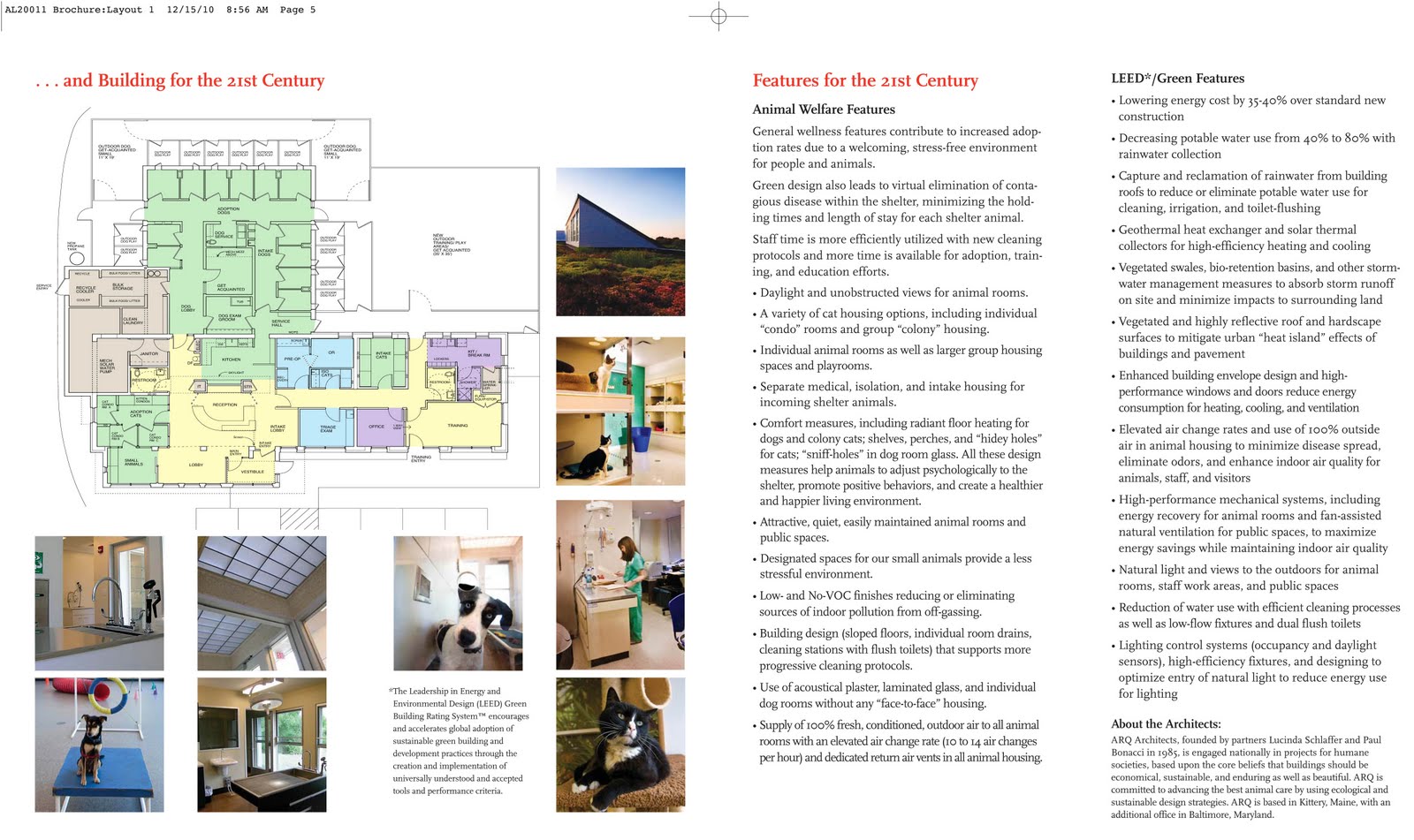 design studio B: good design for deserving creatures...