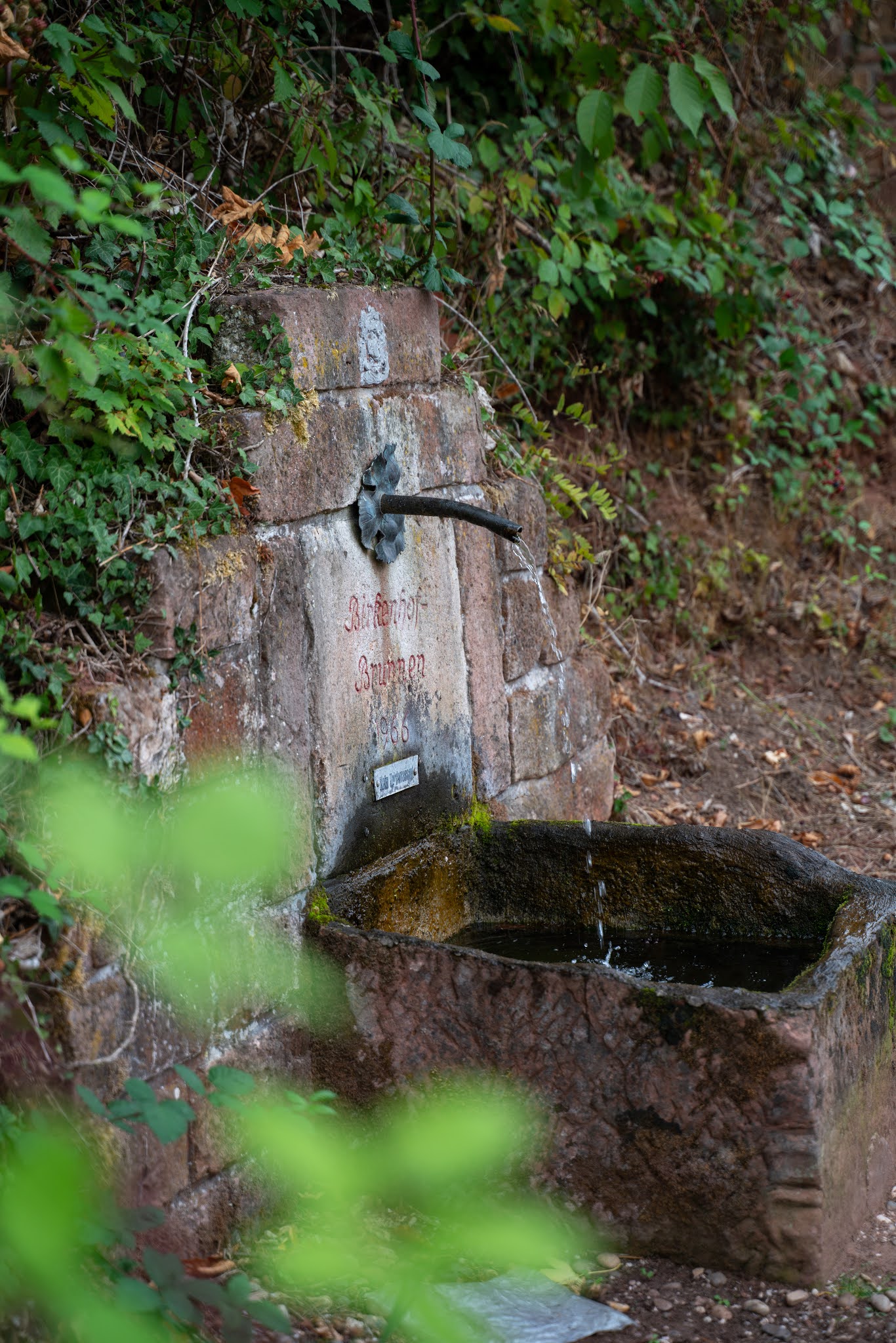 Kalmit-Felsenmeer-Tour | Maikammer | Wanderung Südliche Weinstraße
