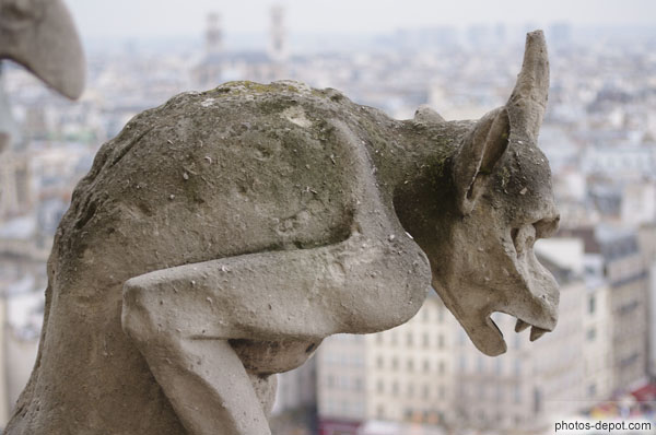 TODAY FOR TOMORROW: Les gargouilles : mystérieuses,parfois térrifiantes ...