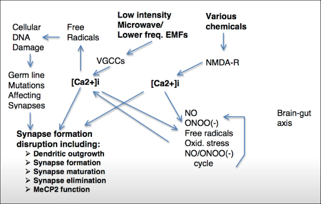 lift the veil from your eyes: EMF Health Effects, How EMFs Impact the ...