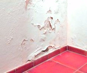 Cara Mengecat Tembok Yang Lembab