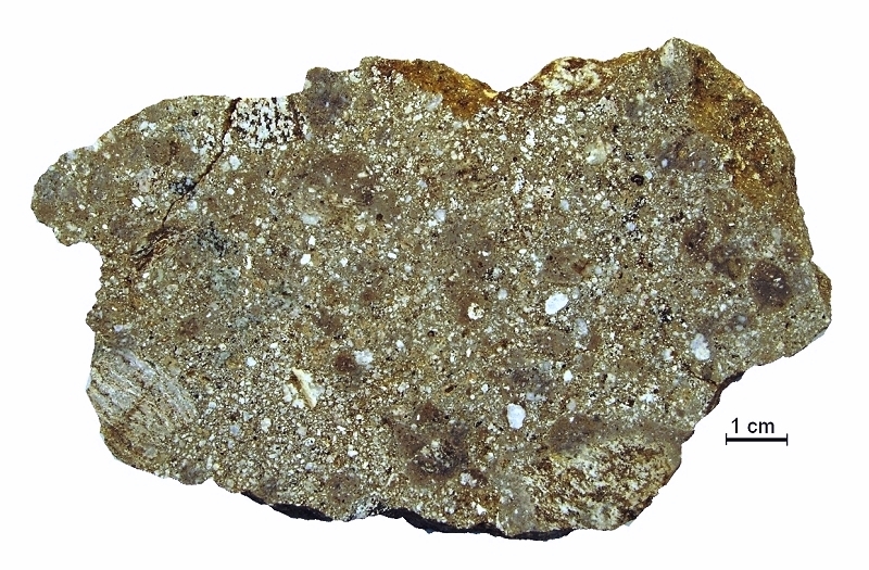 Blog de Linguagens: Suevite