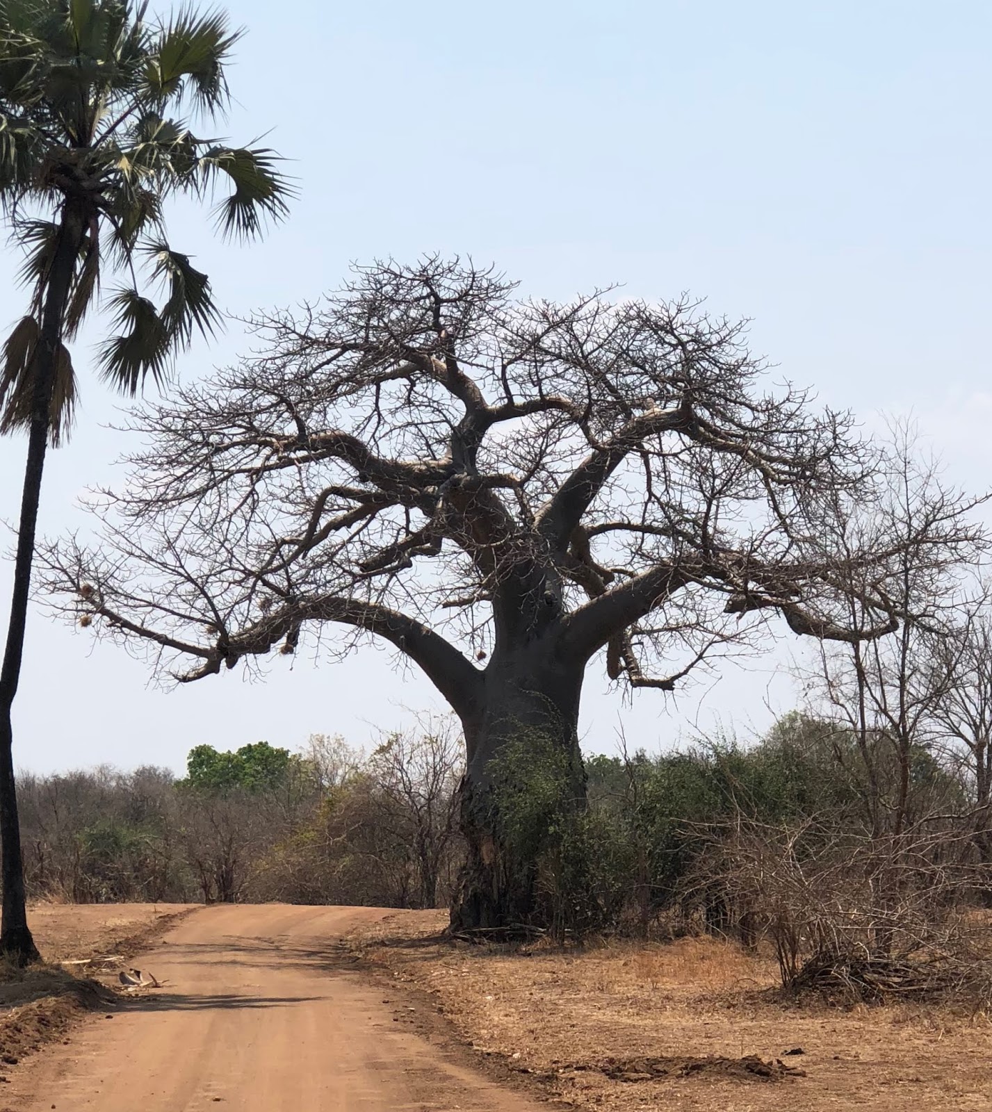 Last, But Never Least