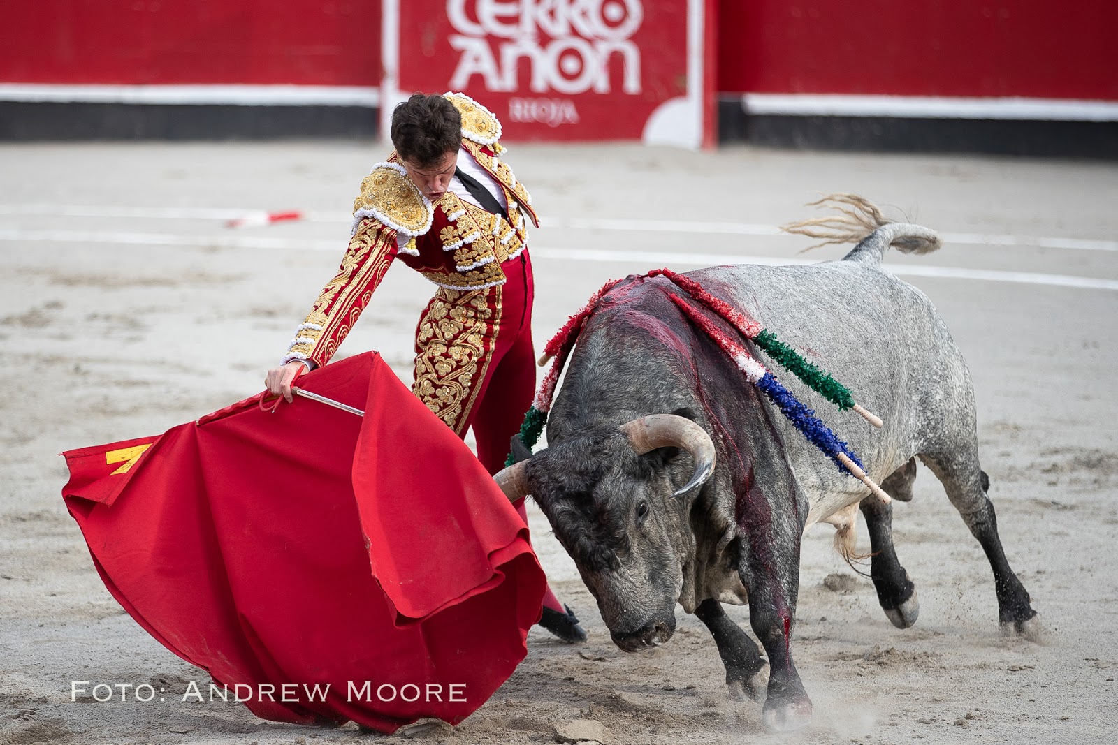 Del toro al infinito: Los toros de Azpeitia en el objetivo de Andrew ...