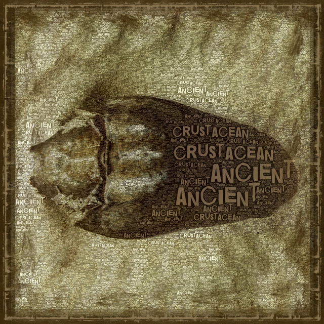 Karen L Messick iPhone Adventures: Words and Photos do go together ...