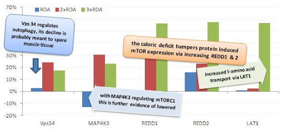 Evidence From the Metabolic Ward: 1.6-2.4g/kg Protein Turn Short Term ...