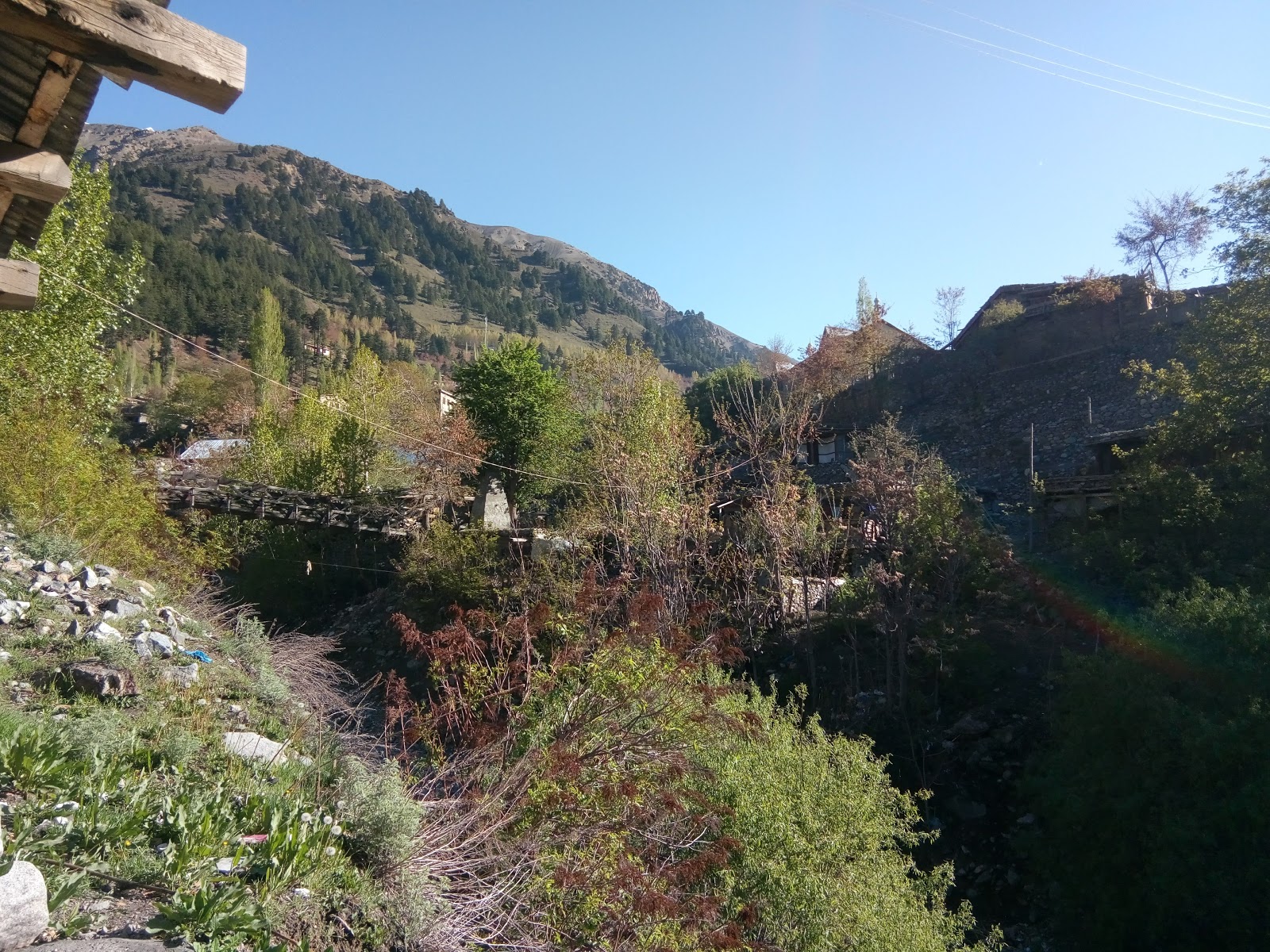 Breathtaking Madaklasht ~ COMMUNAL BUGS