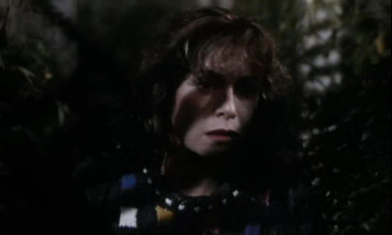 Season Hubley Source: Season Hubley in Stepfather III