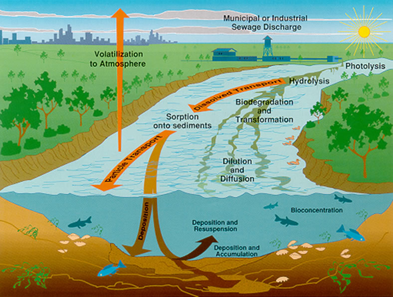 Methodologies of Environmental Flow Assessment (Part One)