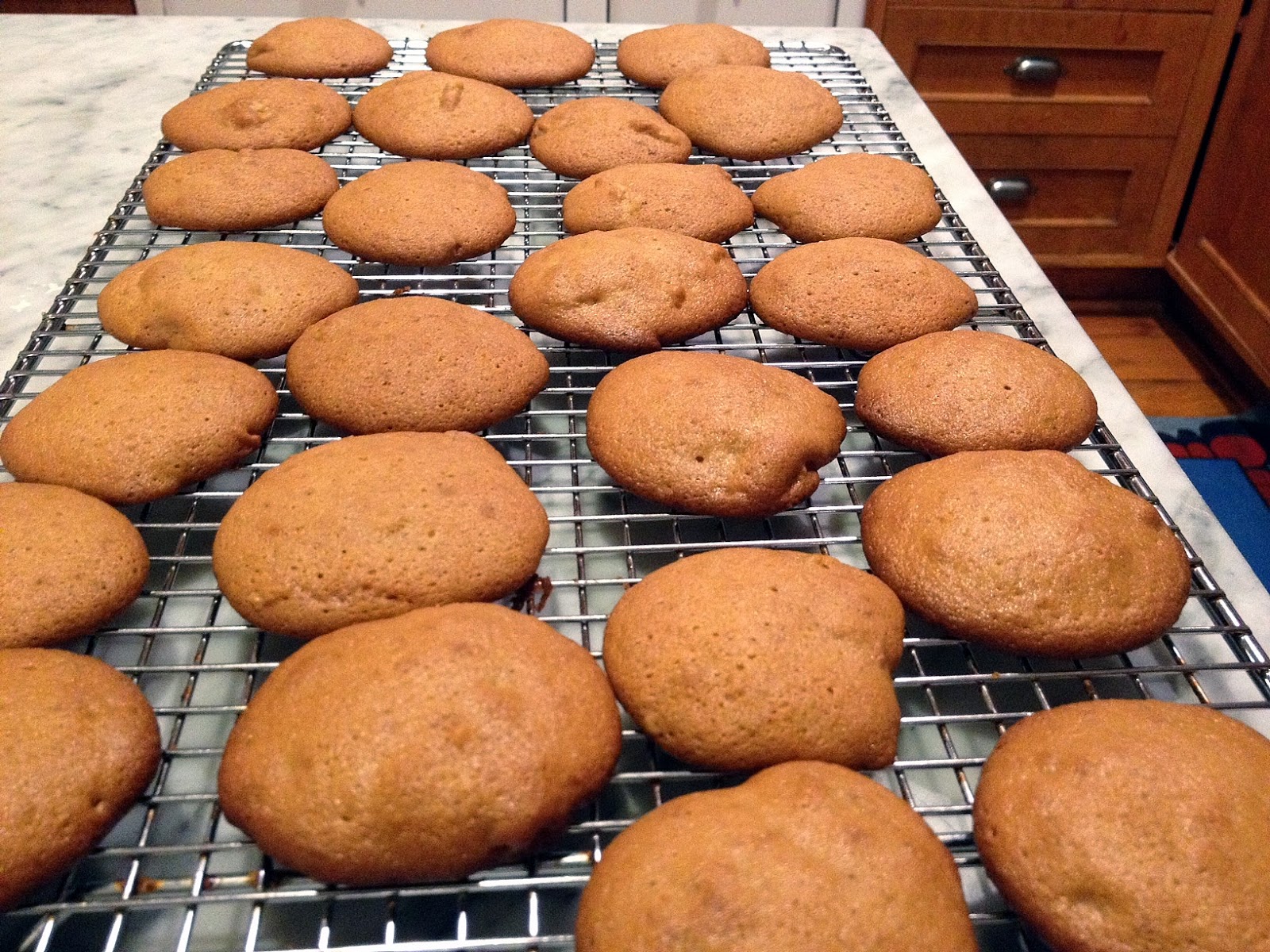 A Cake Bakes in Brooklyn: Butterscotch Cookies with Burnt Butter Icing