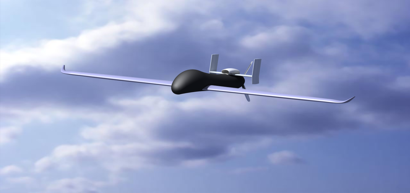 Long Endurance Unmanned Vehicle - LEMUR project