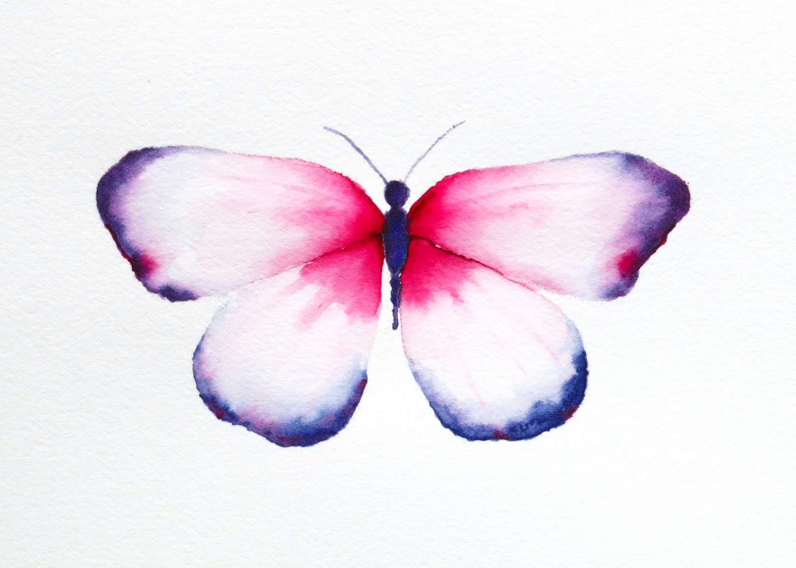 My Painting Room: new butterfly prints