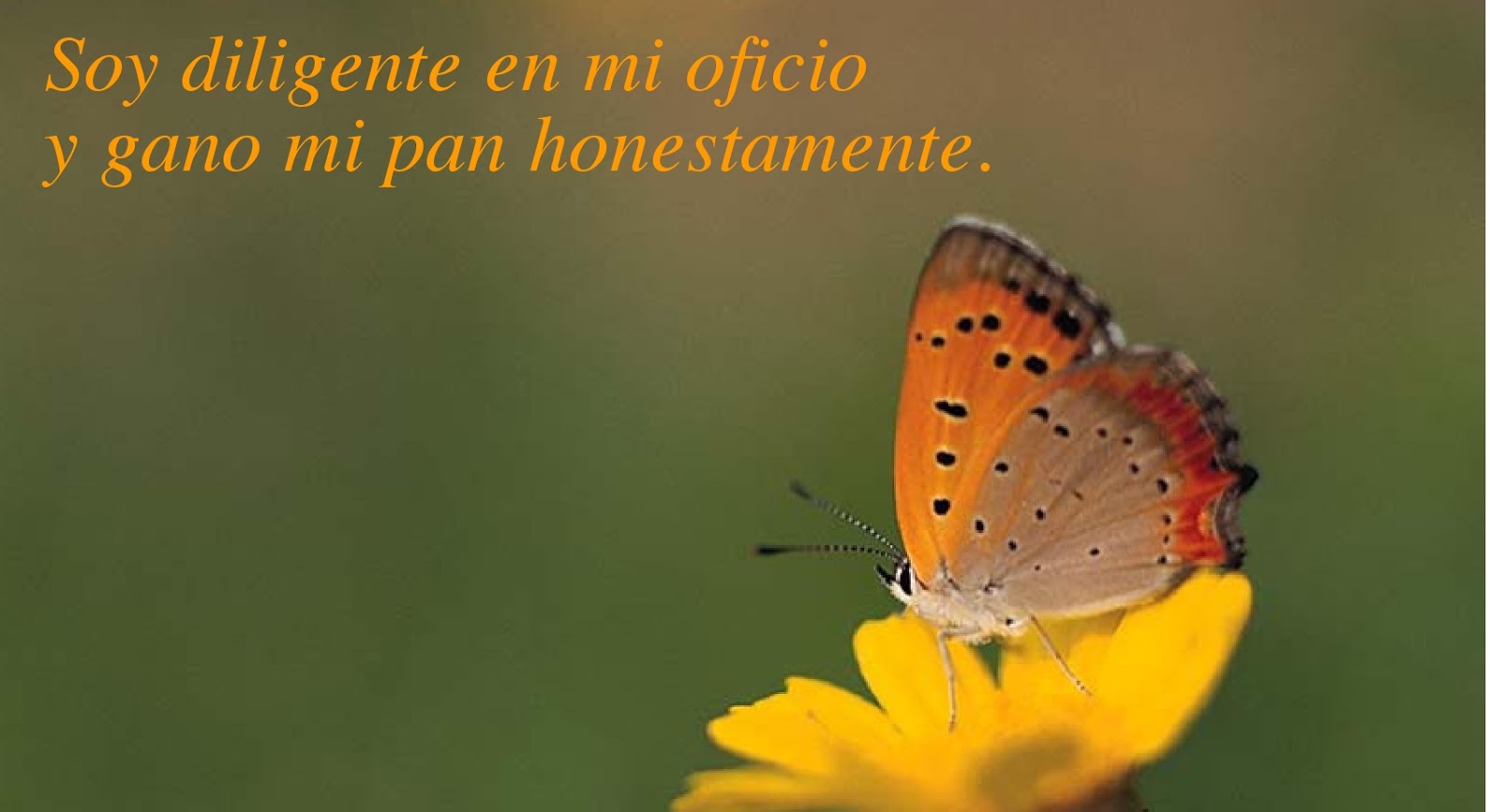 KAWSAY · energía vital · REIKI: SÓLO POR HOY · los principios del/la ... KAWSAY · energía vital · REIKI: SÓLO POR HOY · los principios del/la ...