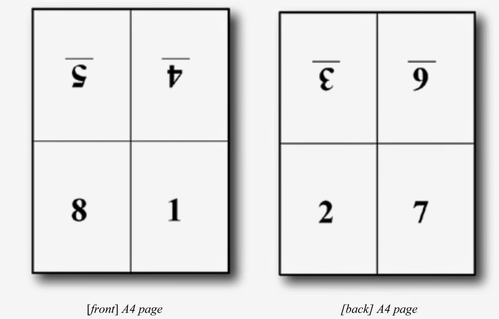 MichelleCarroll CertIIIGpp: p3 LA03 [Photography Booklet]