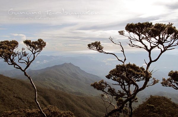 Dan's Den: Gunung Tambuyukon 2,579m