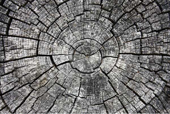 Kelsey's Krazy Kreations: Texture in Photography