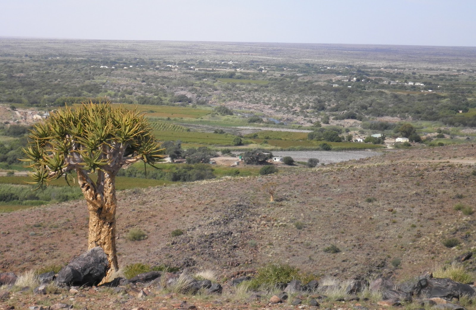 rondritz: Keimoes op betaaldag