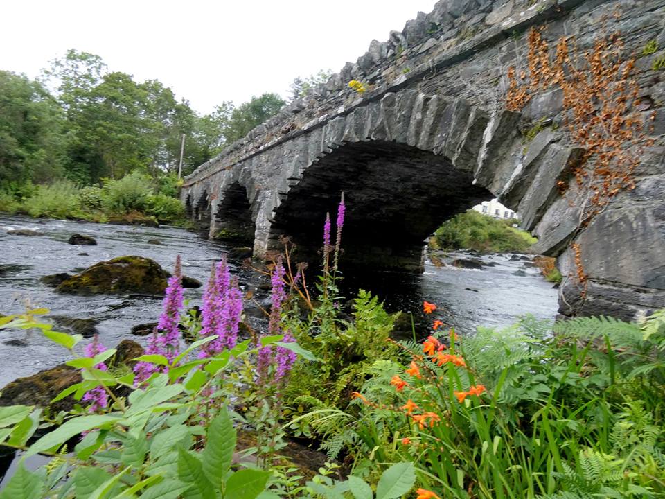 Listowel Connection: Horse chestnut tree, Knockanure Vintage Day 2017 ...