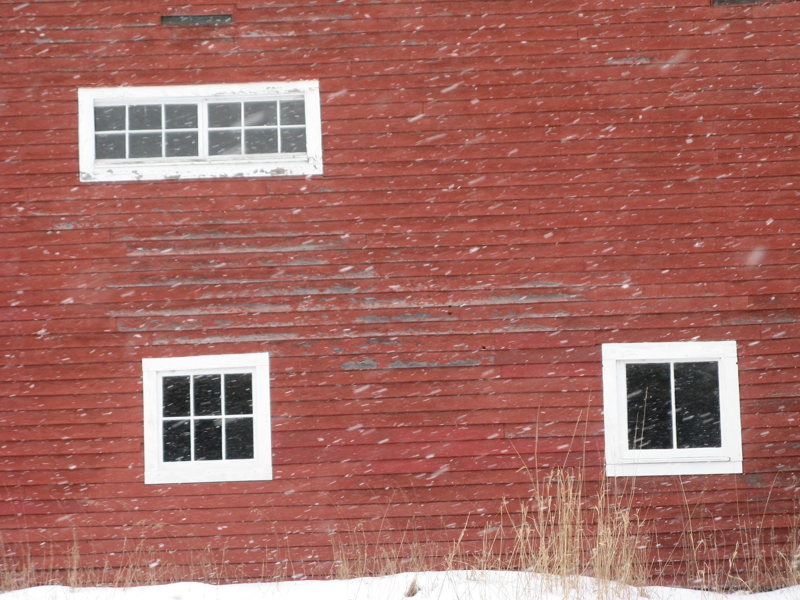 Animal Instinct: Barns of March