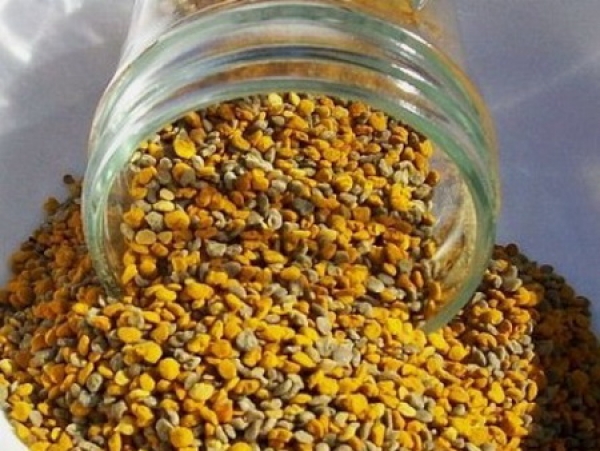 Sfaturi Utile: Curiozități despre propolis