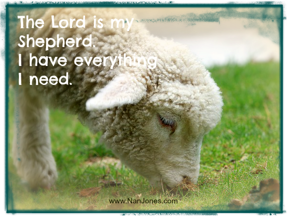 Morning Glory: Finding God's Presence ~ Anointed by Our Shepherd