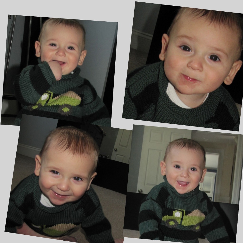 the piesner's