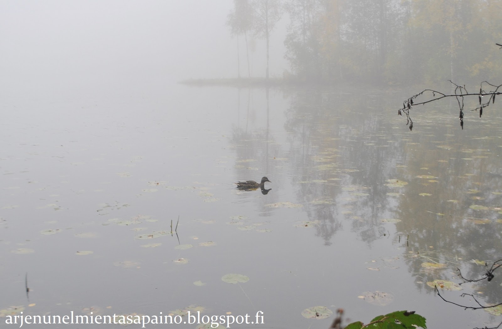 Tasapainoilua 1: Sumuisena aamuna