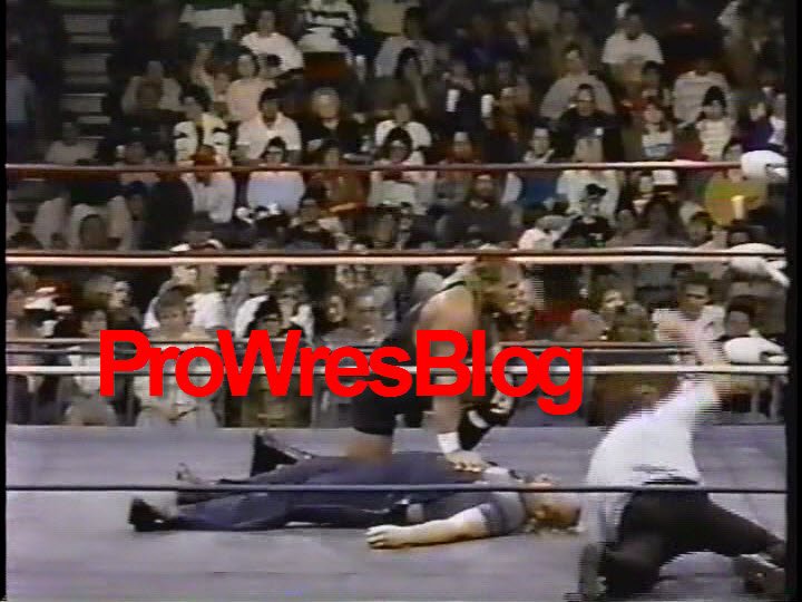 ProWresBlog: WCW Power Hour 1/19/1991 Review