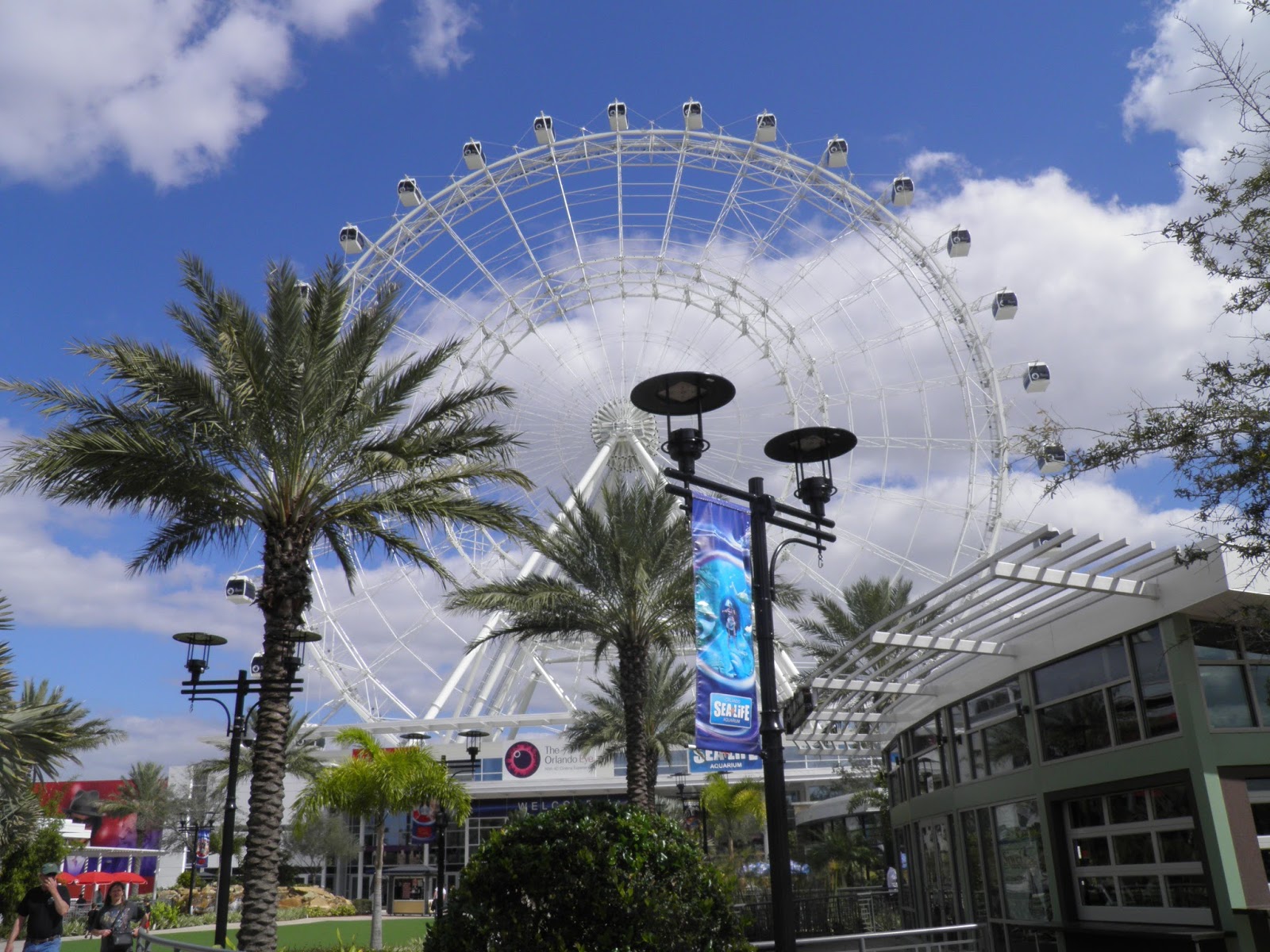 Conoce a el Ojo de Orlando/ The Eye of Orlando