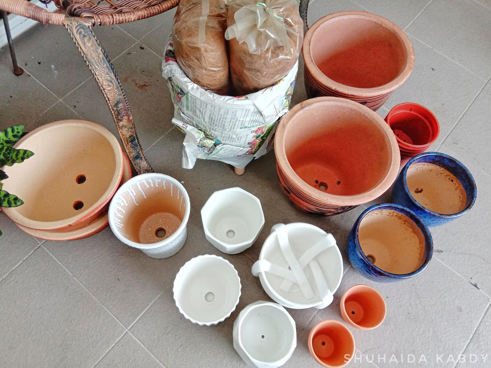 Potters Garden Kedai Pasu Bunga Viral
