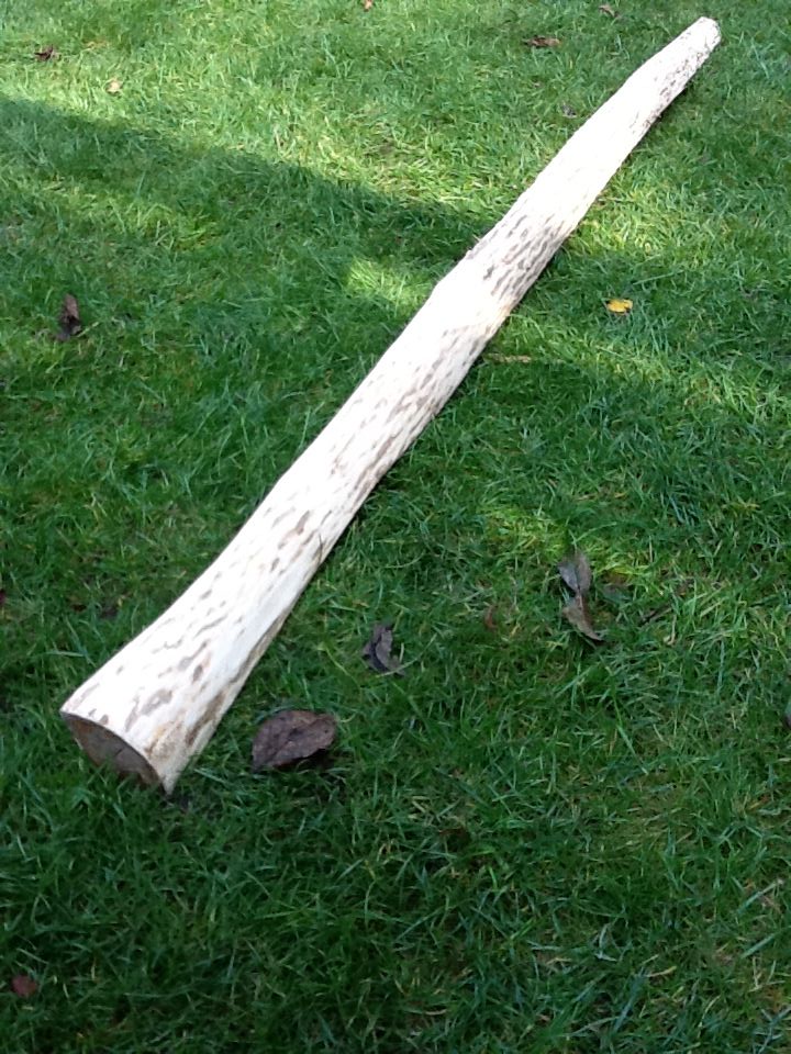 How to make a maple flatbow from a cutdown tree