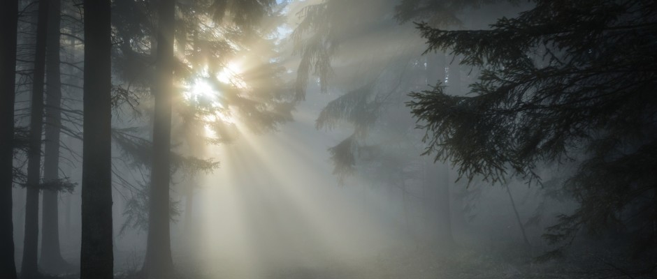 Baladitas con PeChan~*: LEYENDA JAPONESA DE LA SEMANA SHIGAI NO MORI EL ...
